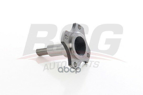 Ступица колеса BSG AUTO PARTS арт. bsg30-470-012