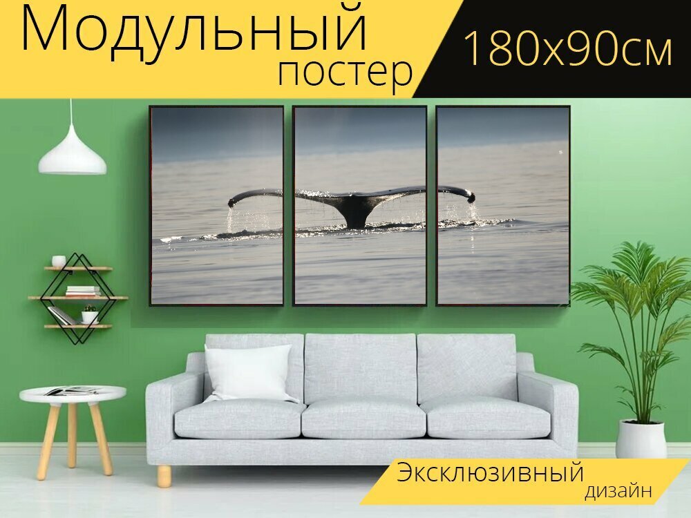 Модульный постер "Горбатый, хвост кита, кит" 180 x 90 см. для интерьера