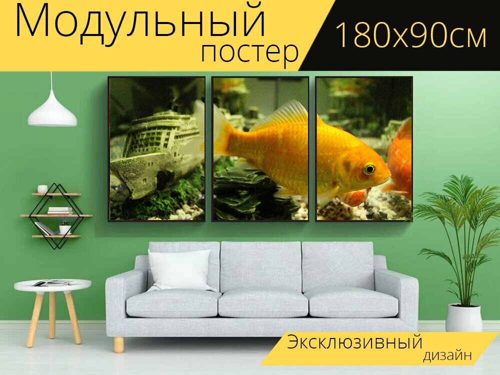 Модульный постер "Рыбы, золотая рыбка, аквариум" 180 x 90 см. для интерьера