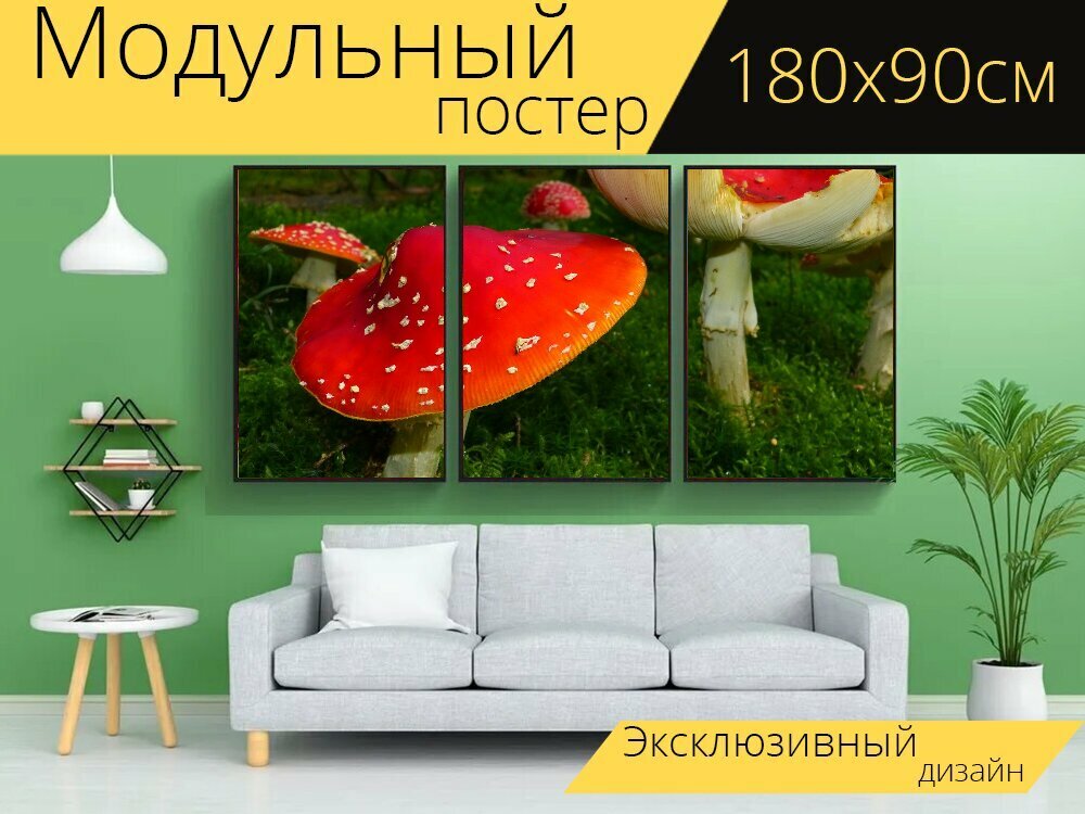 Модульный постер "Мухомор, грибы, красная муха гриб мухомор" 180 x 90 см. для интерьера