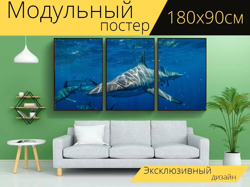 Модульный постер "Акула, подводный, море" 180 x 90 см. для интерьера
