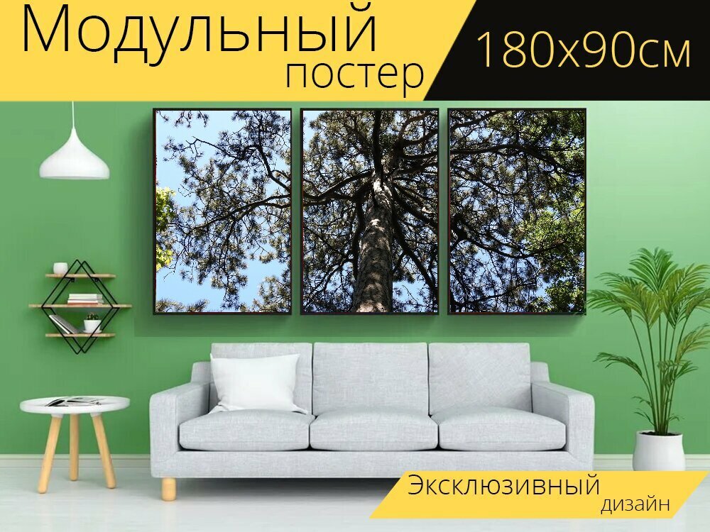 Модульный постер "Сосна, сосновый лес, дерево" 180 x 90 см. для интерьера