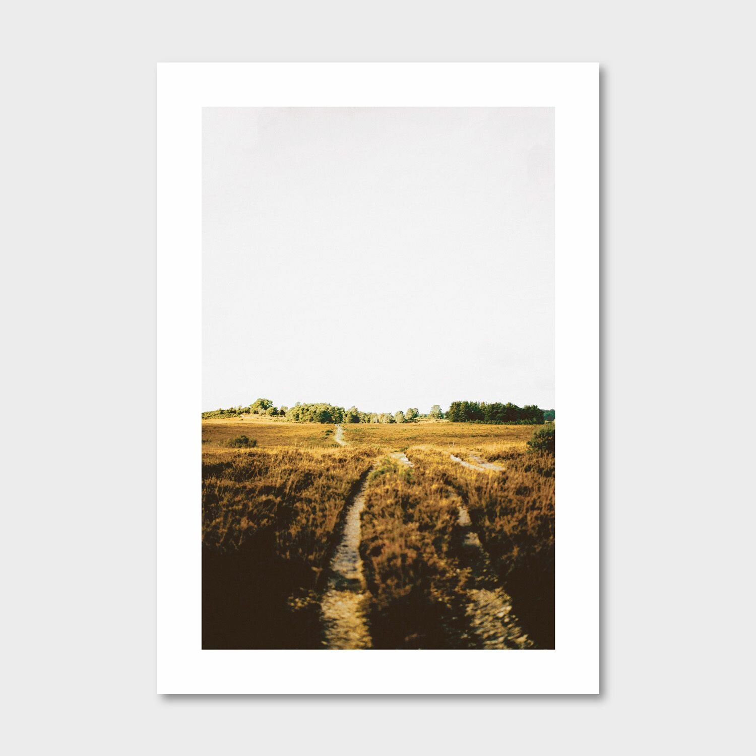 Постер для интерьера Postermarkt, Дорога В Поле, 70х100 см