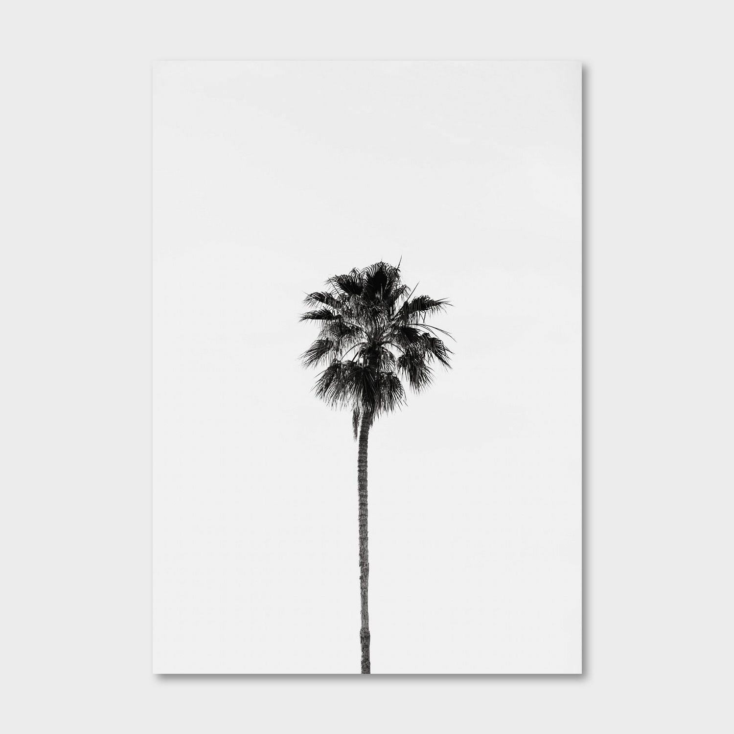Постер для интерьера Postermarkt, Одна Пальма, 50х70 см