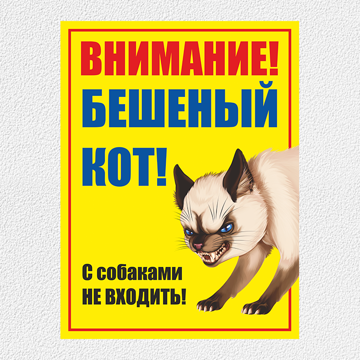 Табличка "Бешеный кот, с собаками не входить", 40х30 см, ПВХ