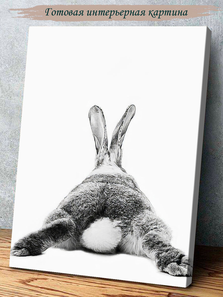 Картина на стену 40х60 Заяц лежит задом наперед хвост