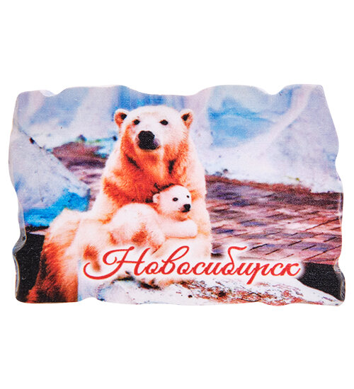 Магнит Новосибирск МТ- 054/02 113-7011220