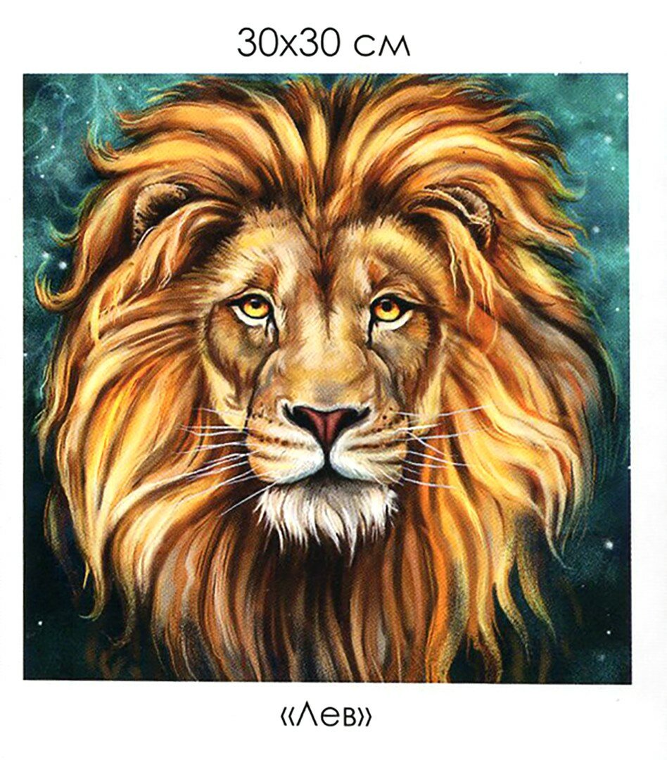 Алмазные узоры. Лев. 30*30 (06106)