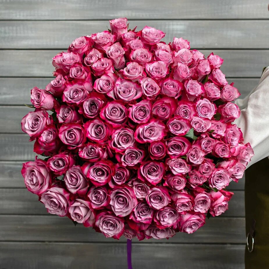 101 фиолетовая роза с лентой Эквадор, высота 50 см от Букет Маркет