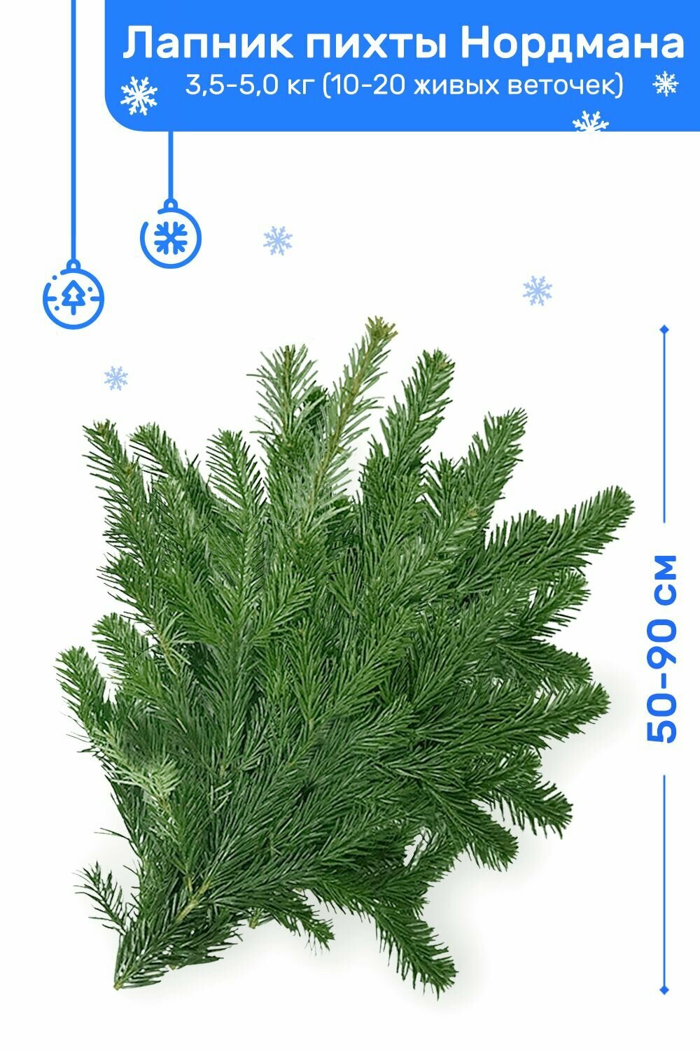 Лапник пихты Нордмана банч 3,5-5,0 кг (10-20 живых веточек)