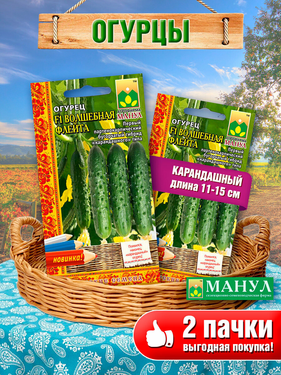 Набор семян огурцов "Волшебная флейта F1" от компании Манул (2 пакета по 10 семян)