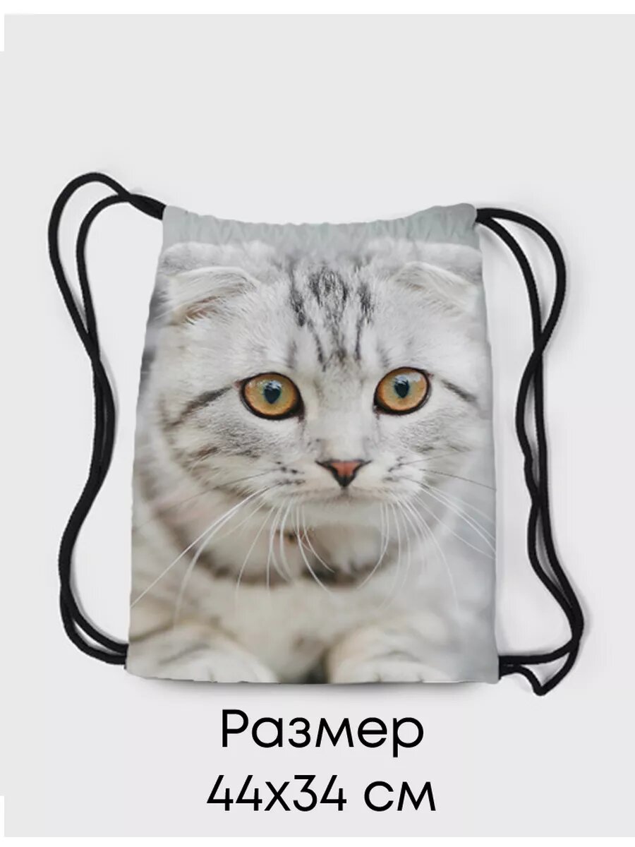 Мешок - сумка для обуви Кошки — фото 1