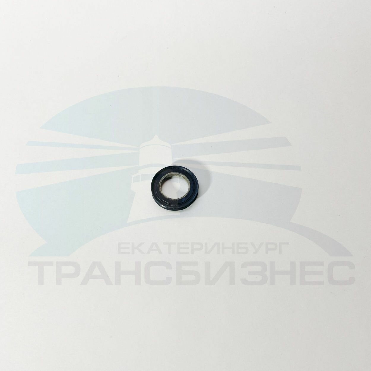 Кольцо уплотнительное пальца задней рессоры тата 613 Е2 Е3 (264032400104)