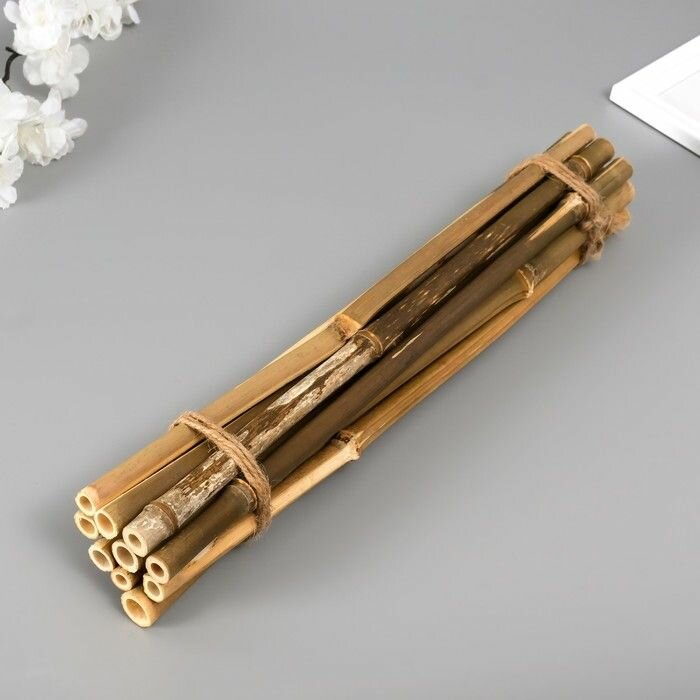 Природные материалы айрис 40 см, 10 шт (AR439)