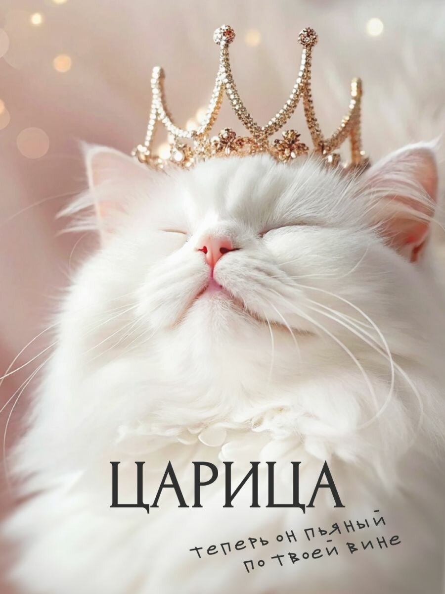 Магнит на холодильник для подруги, для себя, прикол, открытка ,1шт, 6х9см