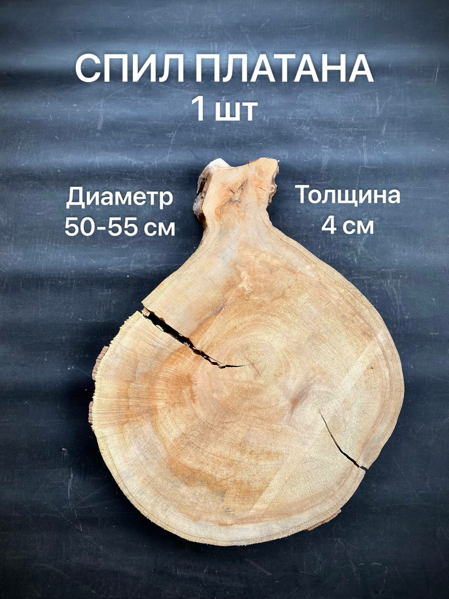 Спил Платана, диаметр 50-55 см, толщина 4 см, 1шт
