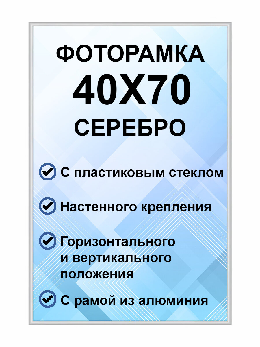 Фоторамка металлическая серебристая для постера, картины, фотографии 40х70 см