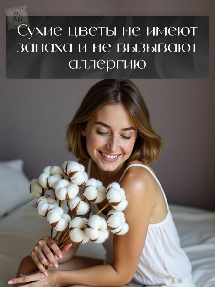 Сухоцветы — фото 1
