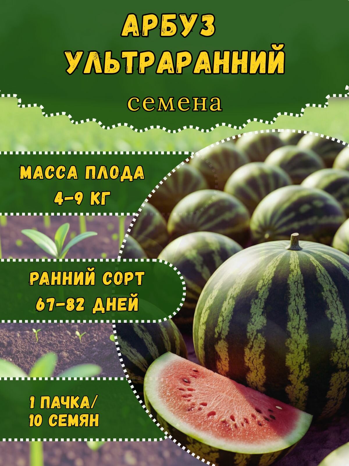 Семена Арбуза "Ультраранний", 10 семян