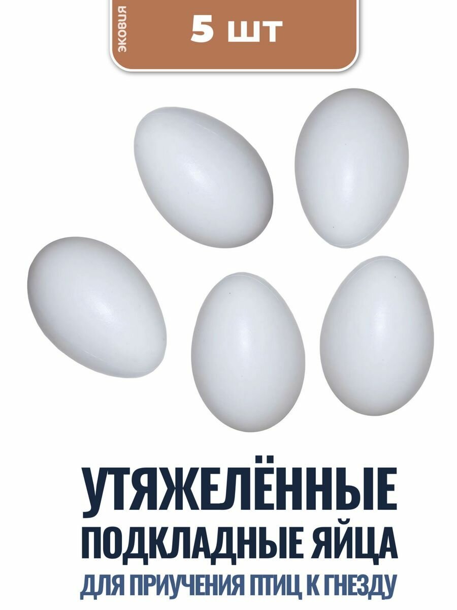 Подкладное яйцо для голубей ветспектрум, 5 шт