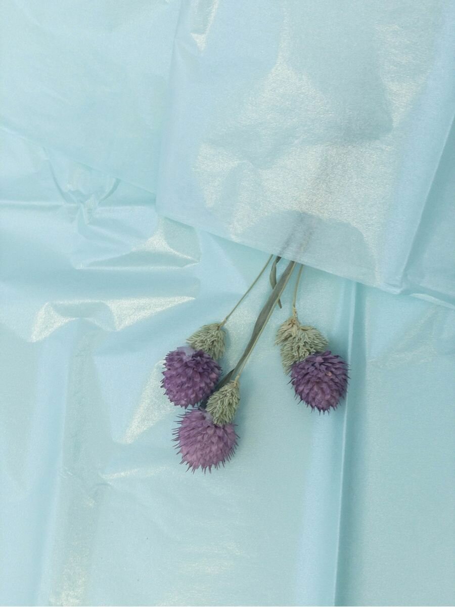 Бумага упаковочная тишью 50x66см (10 лист) жемчужный голубой