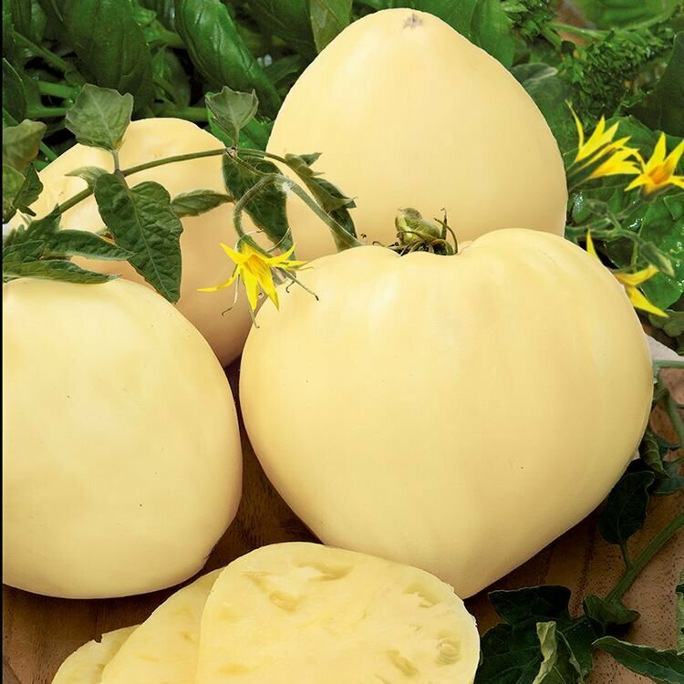 Коллекционные семена Томат Сердце белое