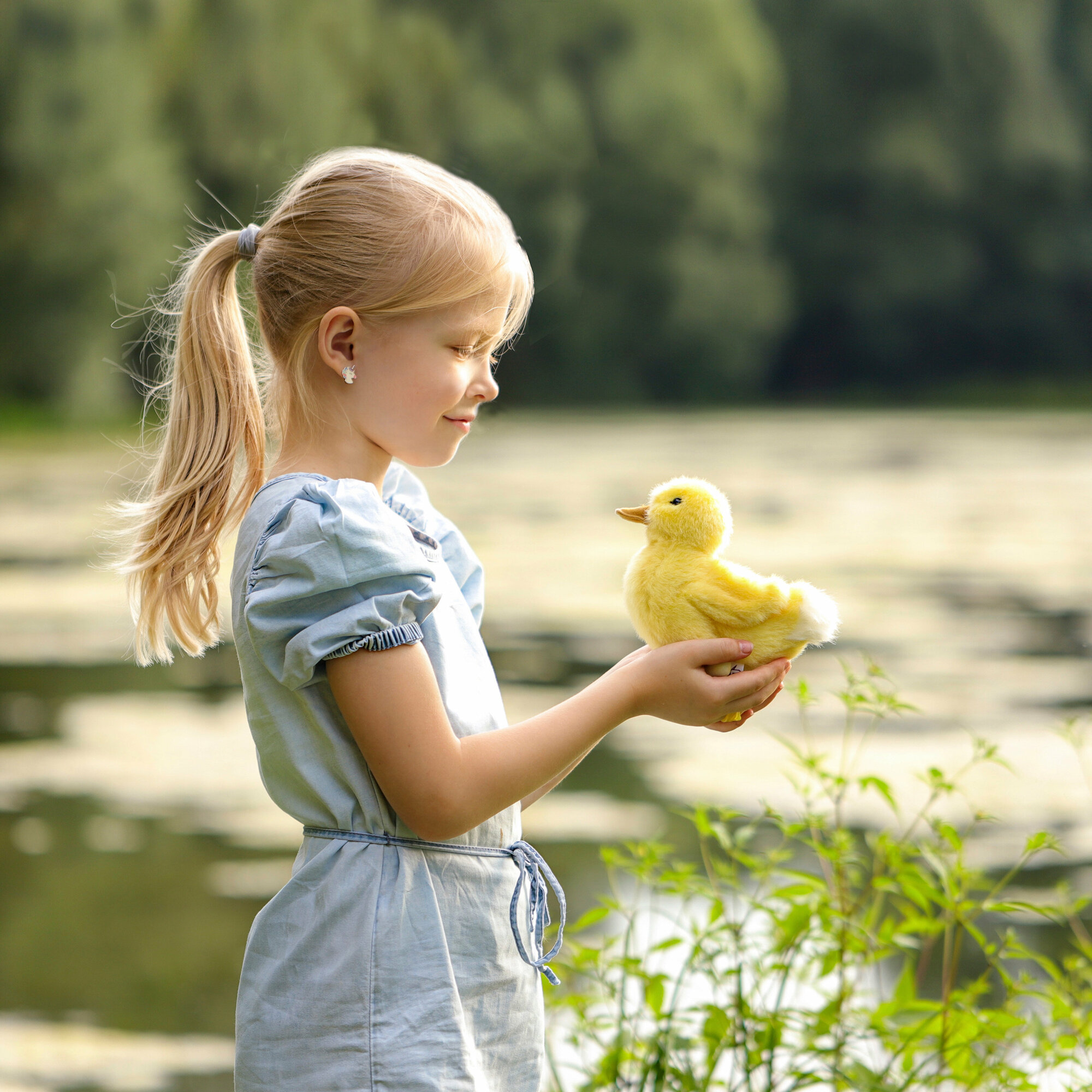 Реалистичная мягкая игрушка Hansa Creation 4857 Утенок, 20 см