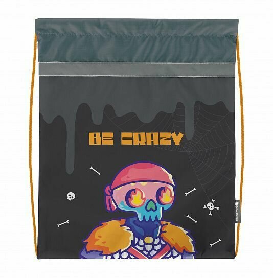 Schoolformat Мешок для обуви Скелетоны, серый 1 отделение, для мальчиков/