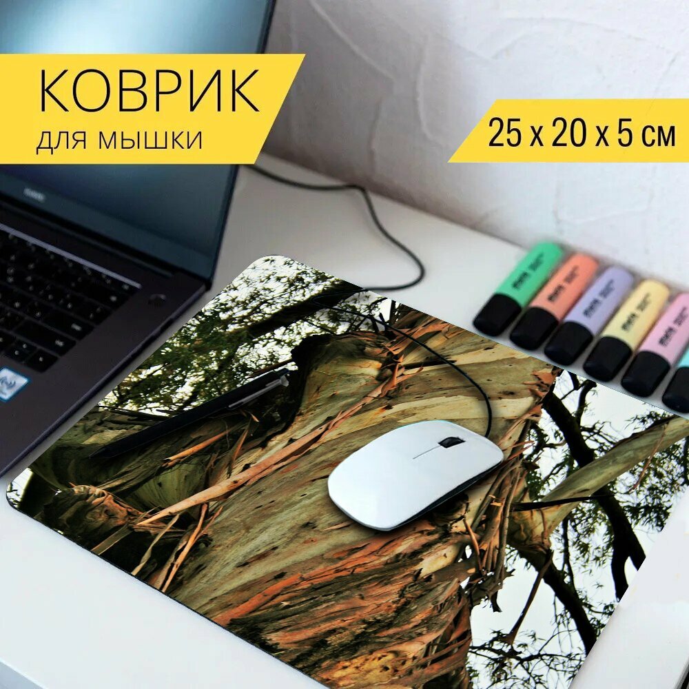 Коврик для мыши с принтом "Эвкалиптовое дерево, дерево, ствол" 25x20см.