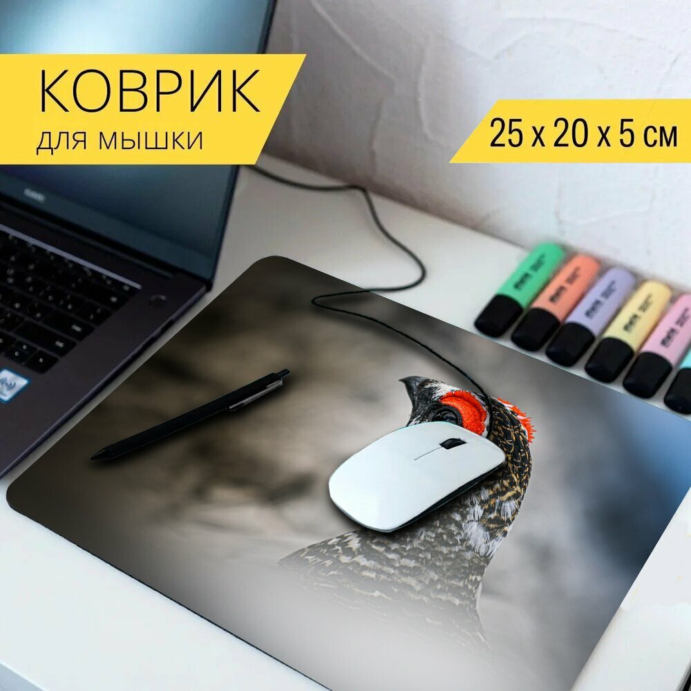 Коврик для мыши с принтом "Lagopus muta, курица, куропатка" 25x20см.