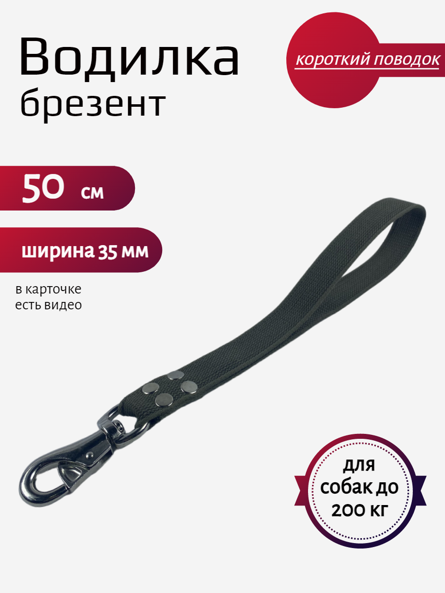 Мини-поводок Хвостатыч для собак с бычьим карабином брезент 50 см х 35 мм (черный)