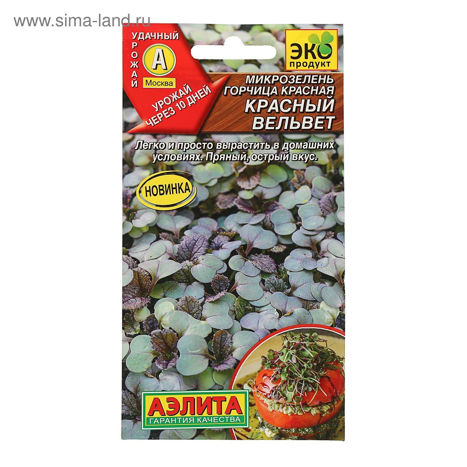 Семена Микрозелень горчица красная «Красный вельвет», 5 г, «Аэлита»