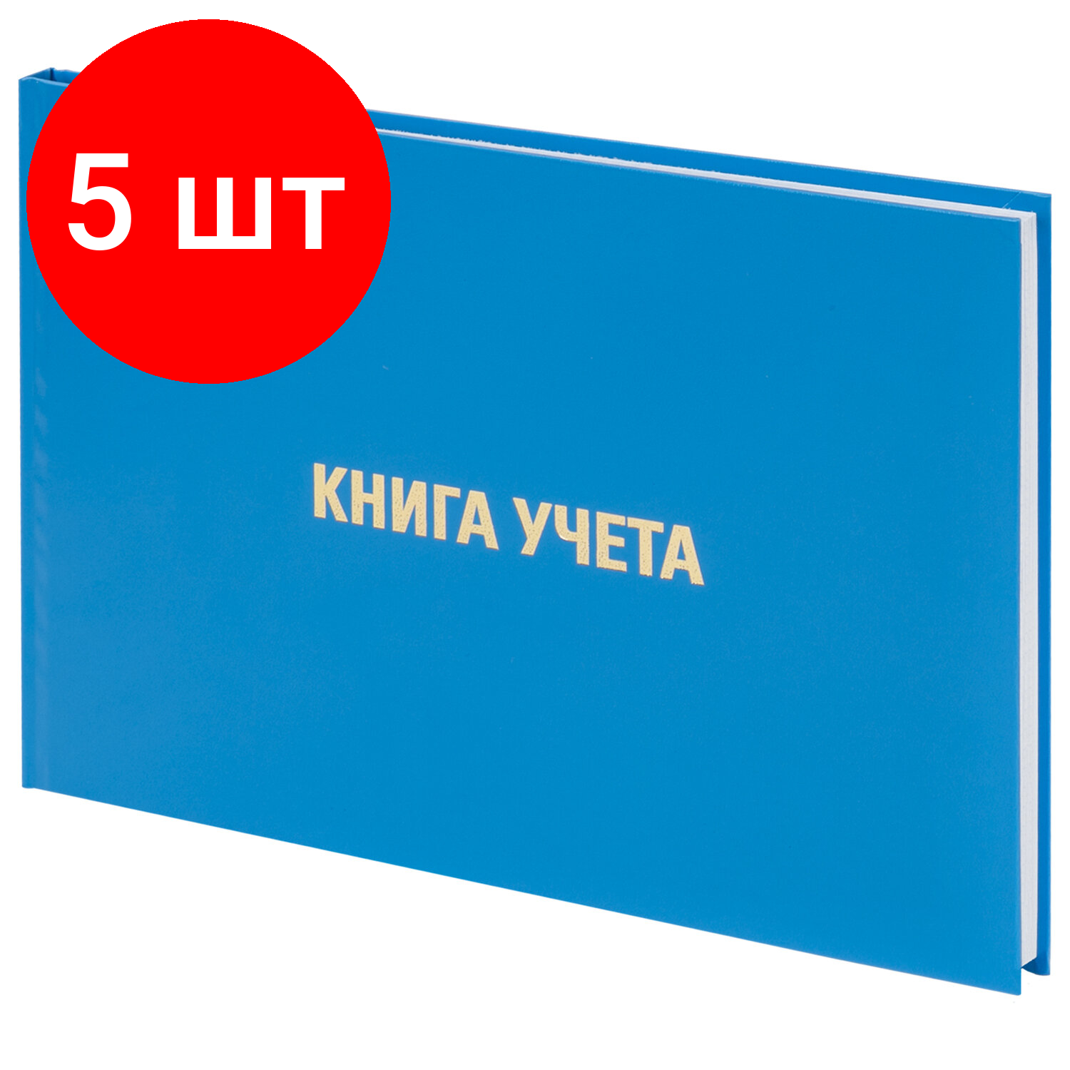 Комплект 5 шт, Книга учета 96 л, клетка, твердая, бумвинил, блок офсет, альбомный, А4 (210х295 мм), BRAUBERG, 130074