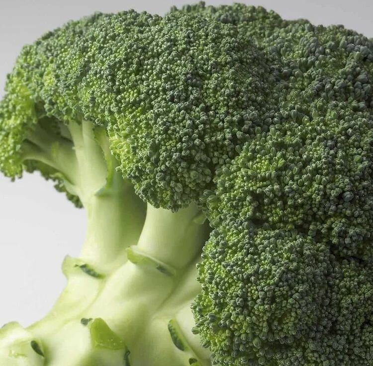 Коллекционные семена капусты брокколи Агасси F1