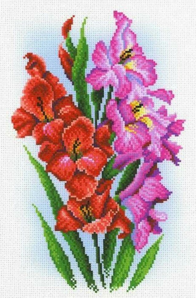 Канва с рисунком для вышивания М. П. Студия СК-056 Гордые гладиолусы, 19 x 28 см (Нитки в в комплект не входят.)