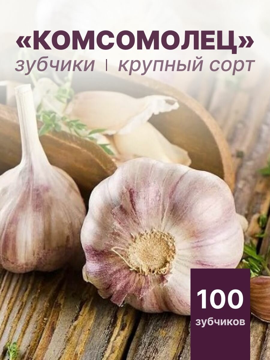 Зубчики чеснока на посадку "Комсомолец" 100шт