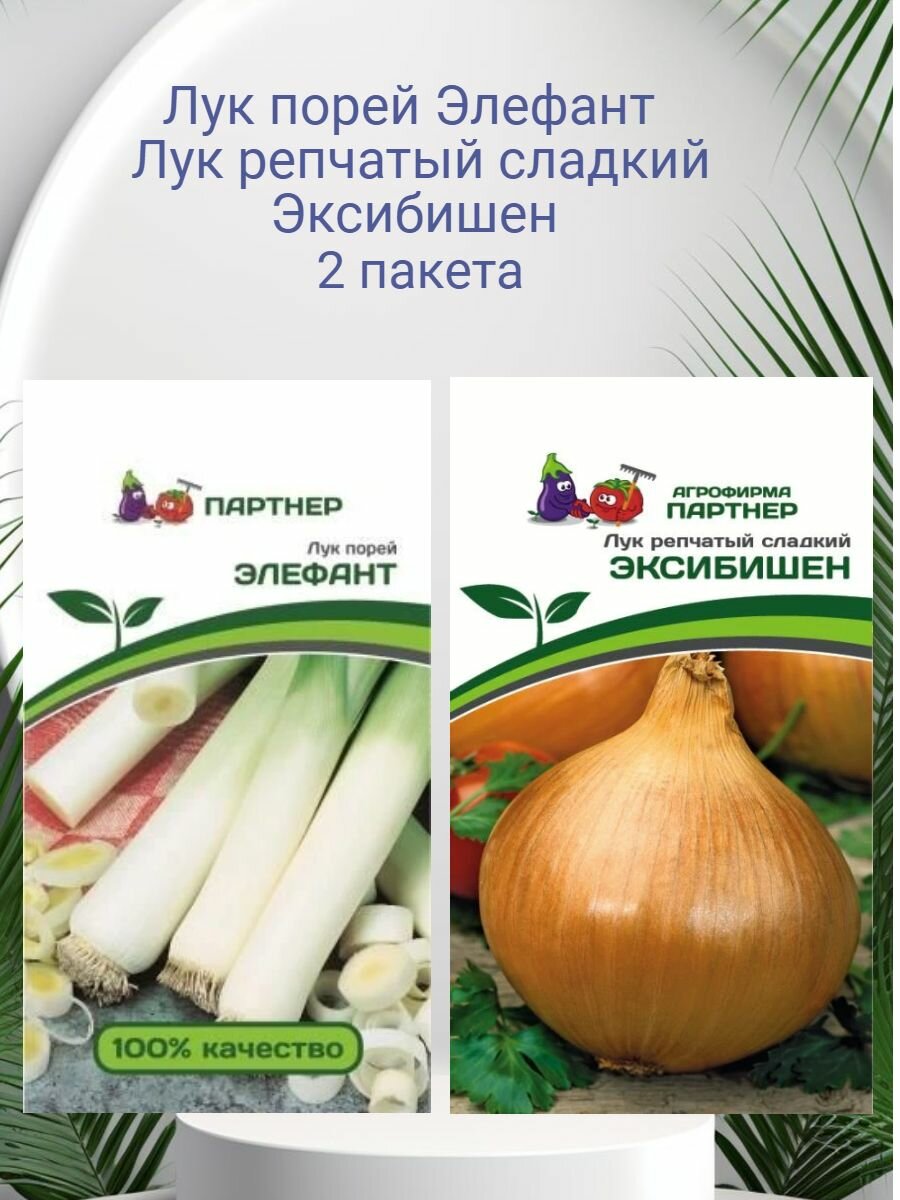 Лук порей Элефант и Лук репчатый Эксибишен