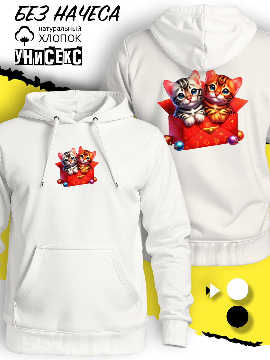 Худи Толстовка свитшот котята в конверте
