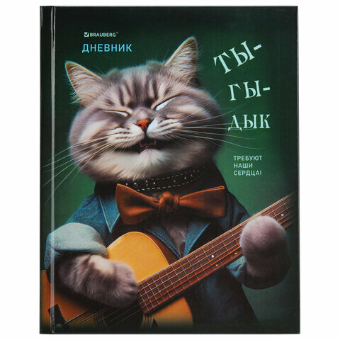 Дневник 5-11 класс 48 л, твердый, BRAUBERG, глянцевая ламинация, с подсказом, "Ты-Гы-Дык", 107184