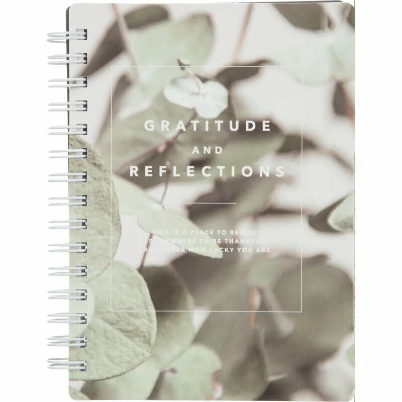 Блокнот BS, 102х142мм, 120л, клетка, спираль. Botanica, эвкалипт, N4261, 2054638