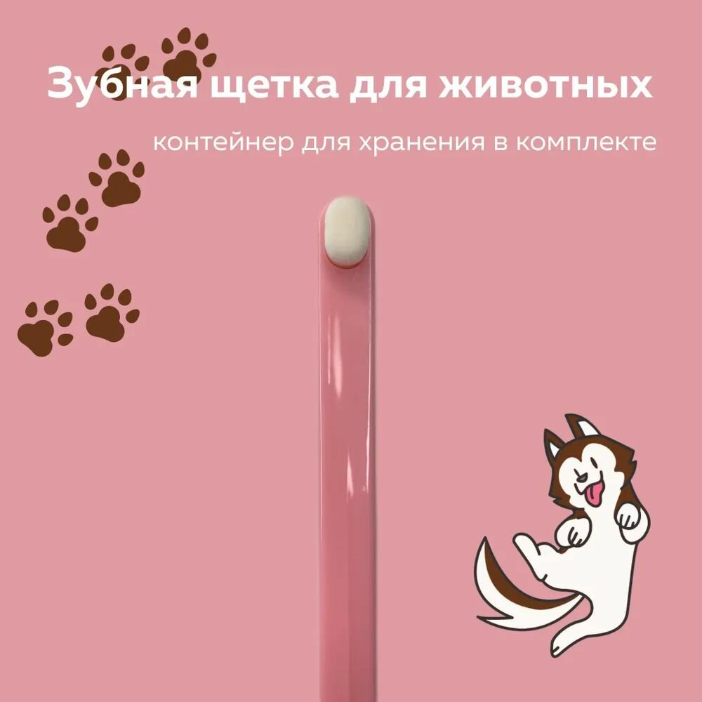 Зубная щетка для домашних собак и кошек в футляре