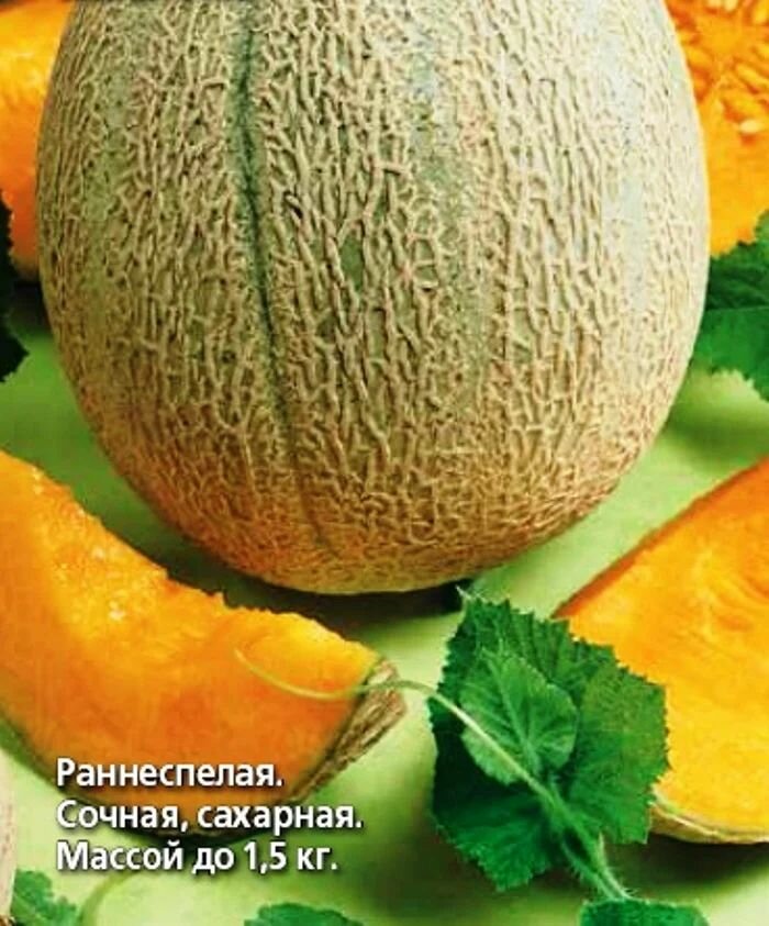 Коллекционные семена дыни F1 Принцесса Мария