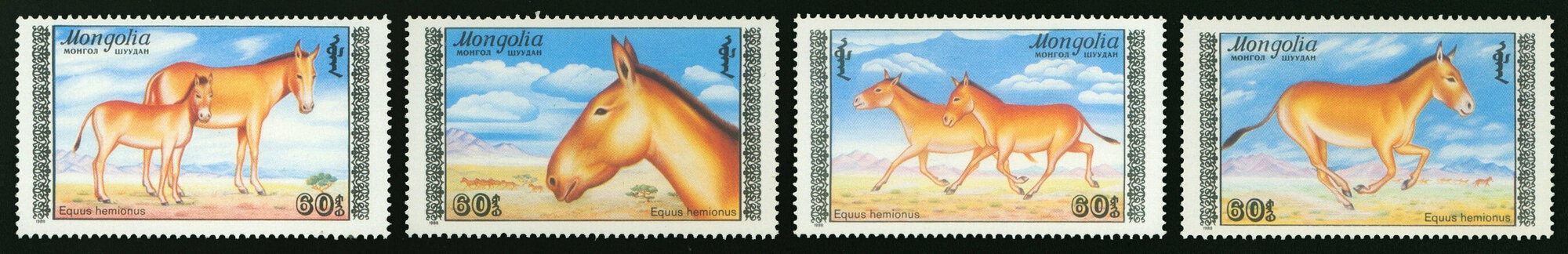 Почтовые марки Монголия 1988г. "Дикий осел, Кулан" Фауна MNH