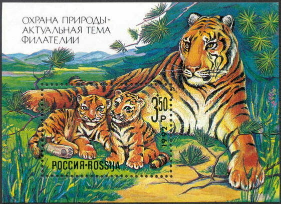 Почтовые марки Россия 1992г. "Охрана природы - Тигры" Тигры, Кошки, Фауна MNH