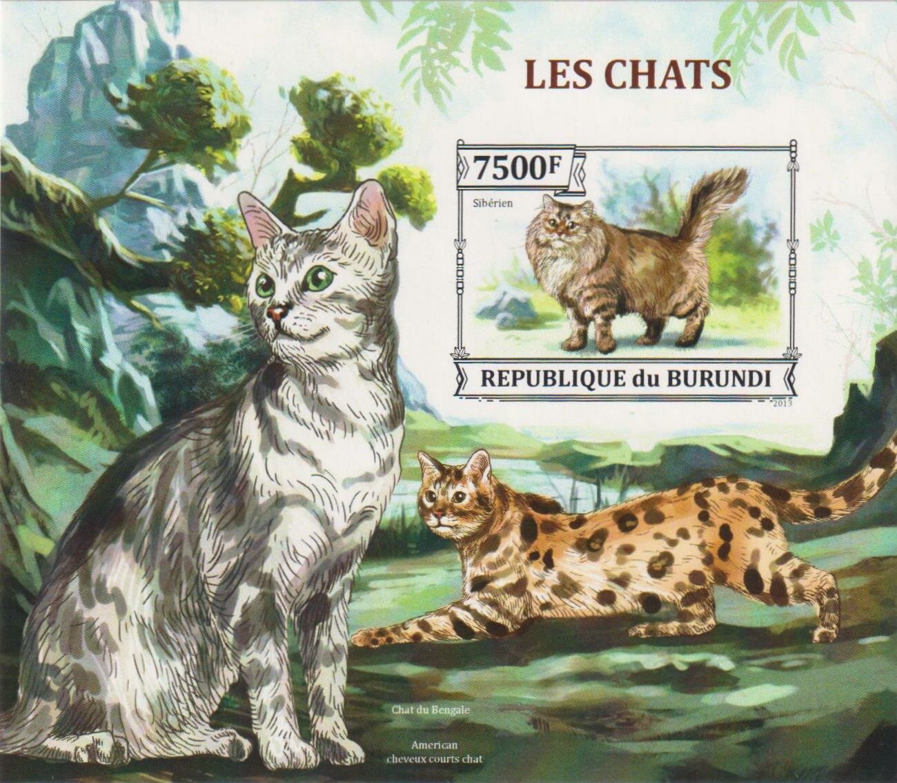 Почтовые марки Бурунди 2013г. "Кошки" Кошки MNH