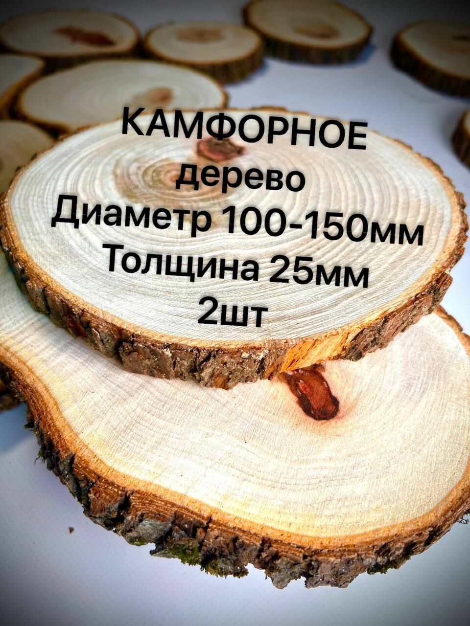 Спилы Камфорного Дерева, диаметр 10-15 см, толщина 2.5 см, 2шт