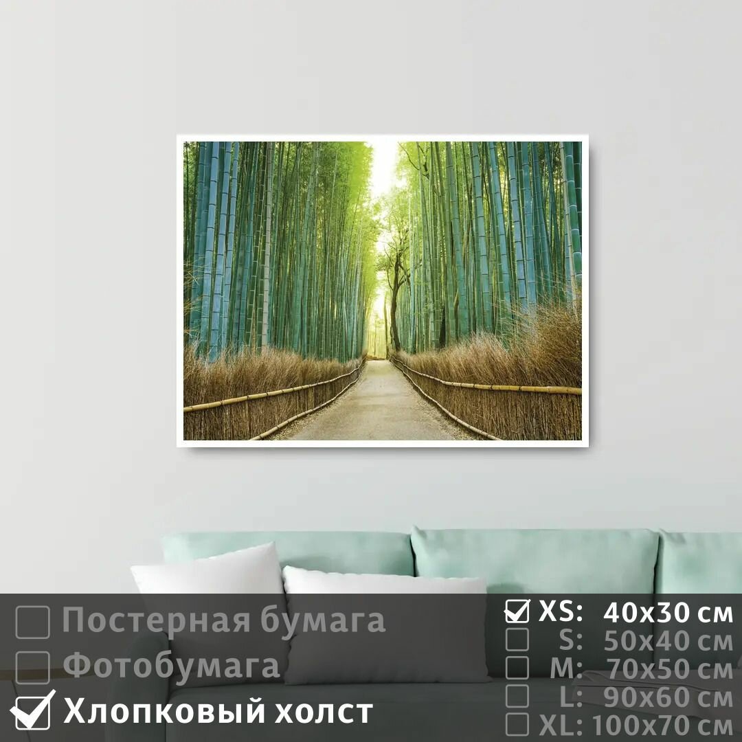 Постер на холсте Бамбуковый Лес В Японии 40х30 см ПолиЦентр