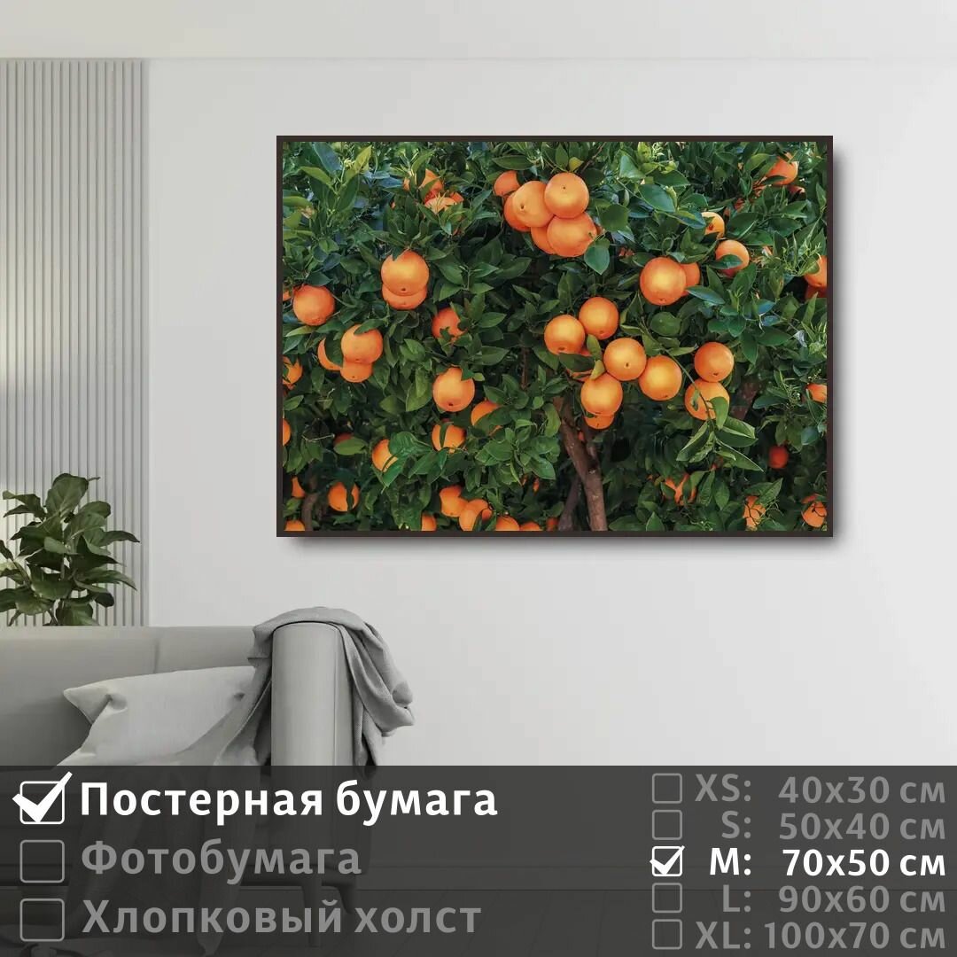Постер на стену Испанские Апельсины 70х50 см ПолиЦентр