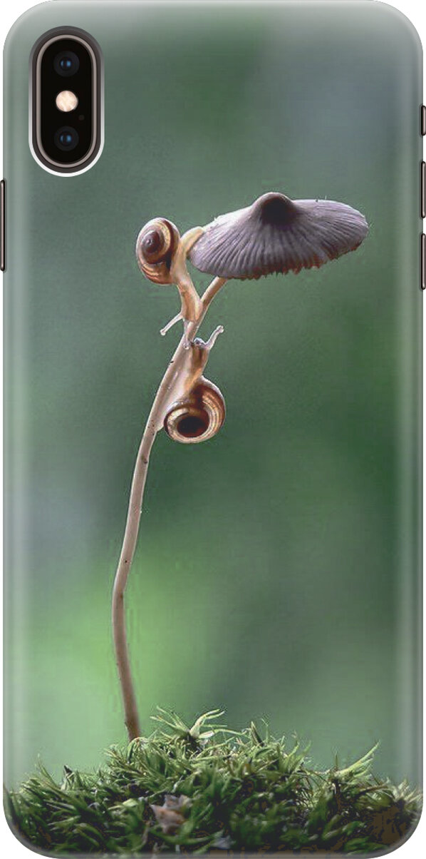 Силиконовый чехол на Apple iPhone XS Max / Эпл Айфон Икс Эс Макс с рисунком "Две улитки"