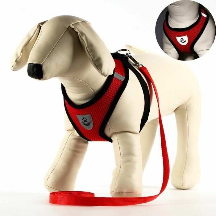 Шлейка для собак Пижон мягкая, с поводком, L, шея 33 см, грудь 36-48 см, красный